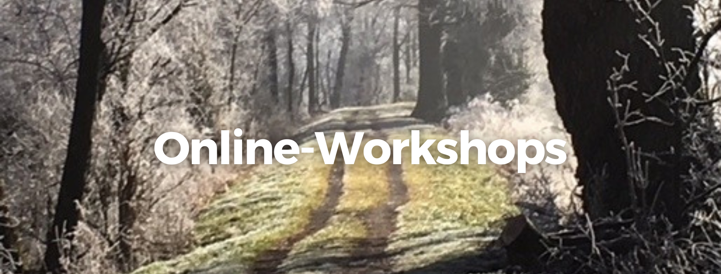 Workshops - Altmann Consultants